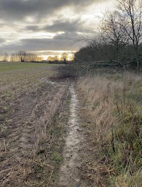 Walk 146: Walgrave Circular | northamptonshirewalks