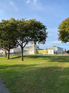 Walk 178: The Parks & Woodlands of Corby | northamptonshirewalks